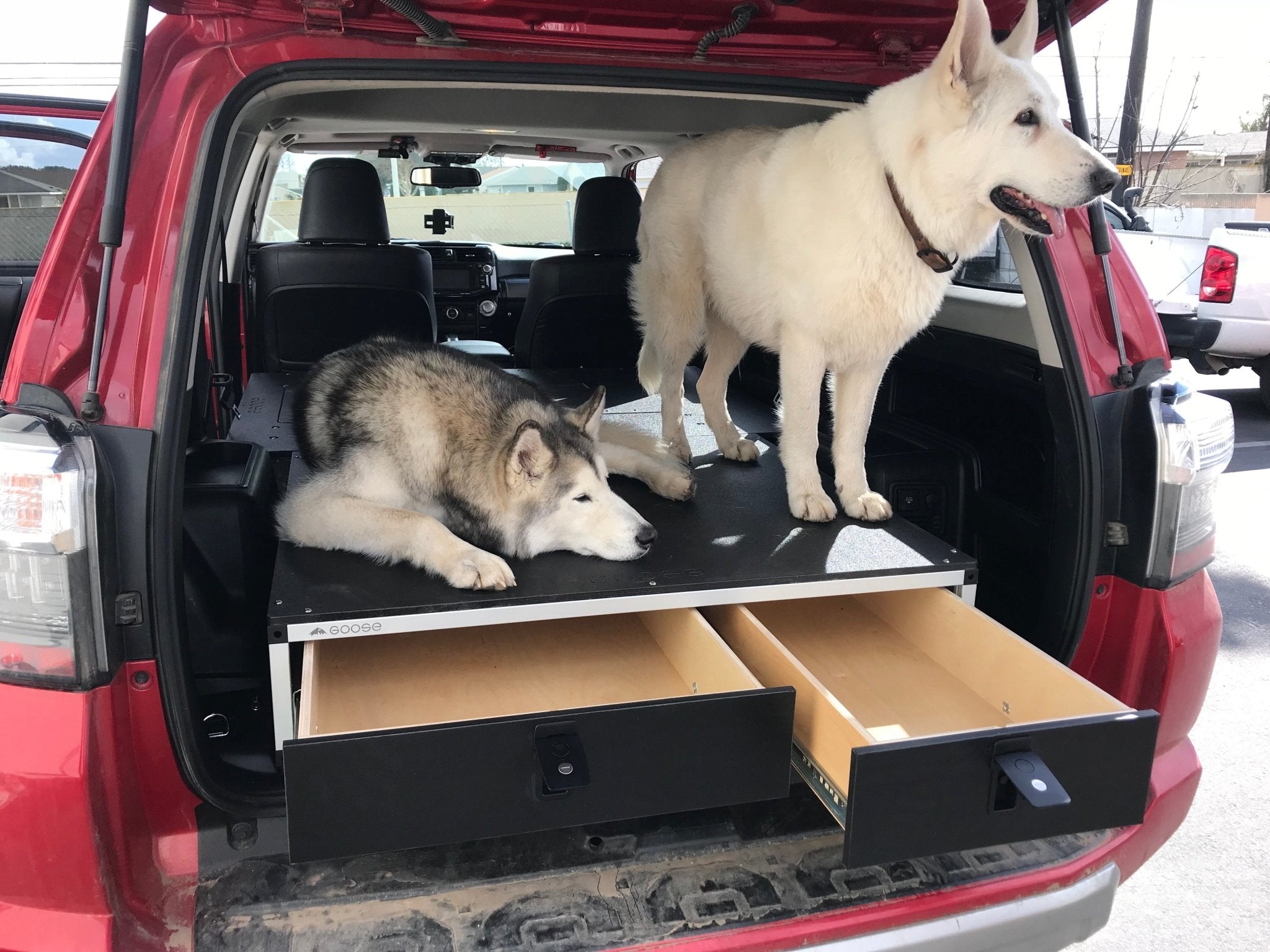 PACKAGE SYSTEMS ARE HERE!!! – Goose Gear